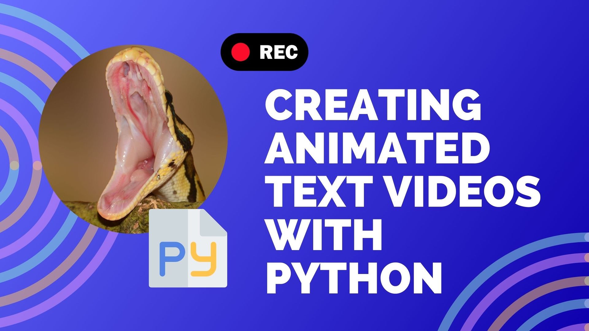 Creating Animated Text Videos with Python | Bastaki Software Solutions